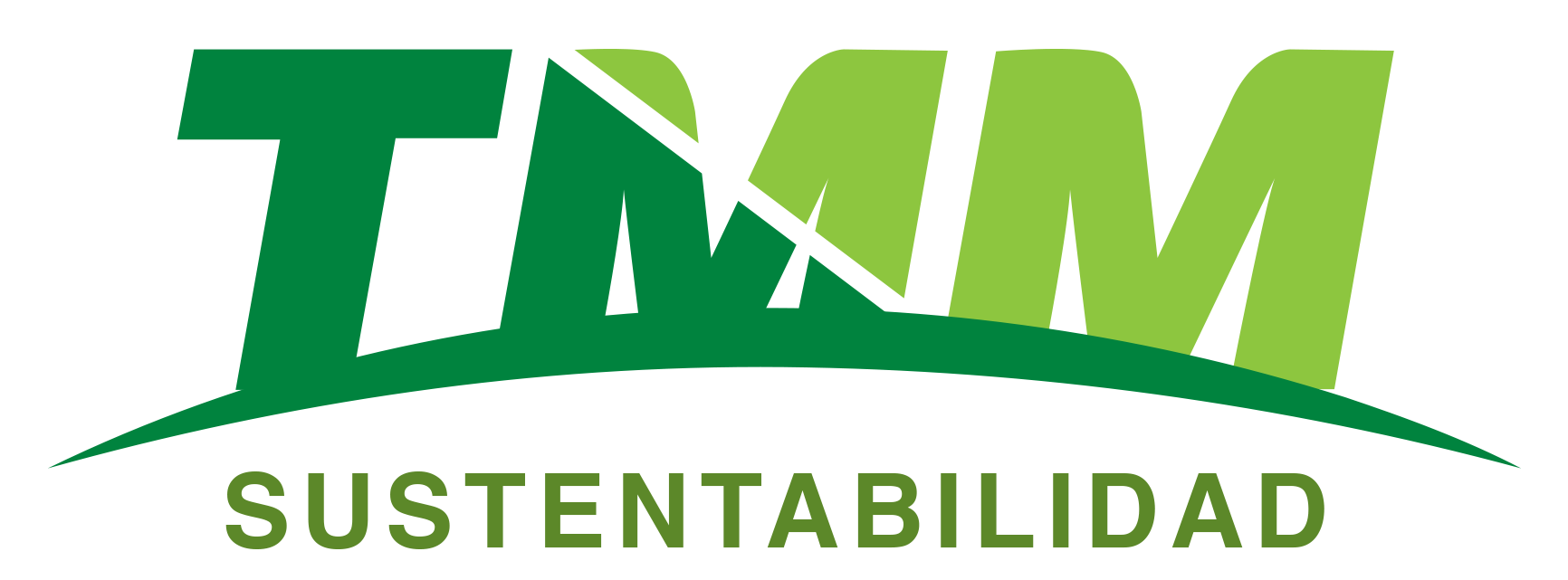 Grupo TMM - Transportes y logística